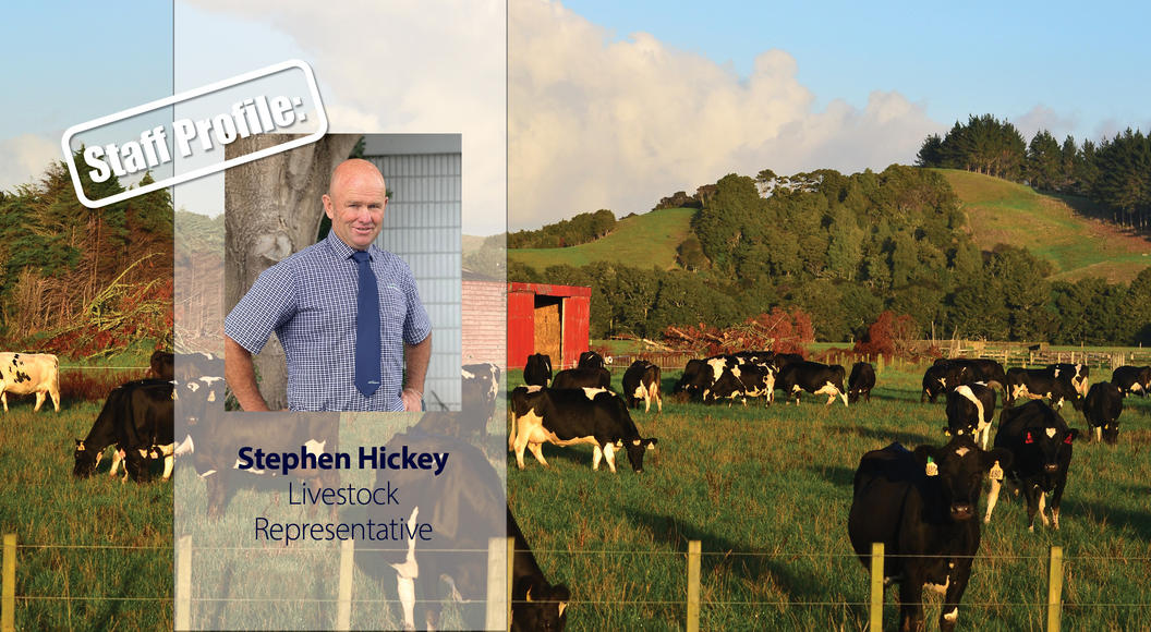 Helping Grow the Country | PGG Wrightson